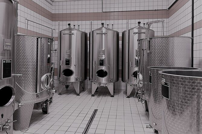 Champagne Munoz Bruneau : Half Day Visit and Tasting - The Value of the Champagne Munoz Bruneau Tour