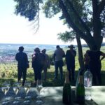 Champagne tasting, panoramic walk in the vineyards - Exploring the Itinerary in Detail