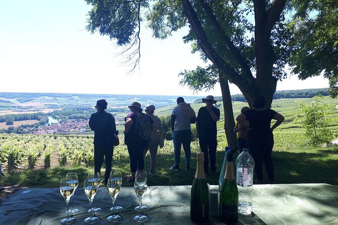 Champagne tasting, panoramic walk in the vineyards - Exploring the Itinerary in Detail