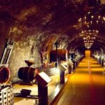 Champagne Tour from Paris by minivan with Reims Cellars & Champagne Tasting - The Price and Its Value