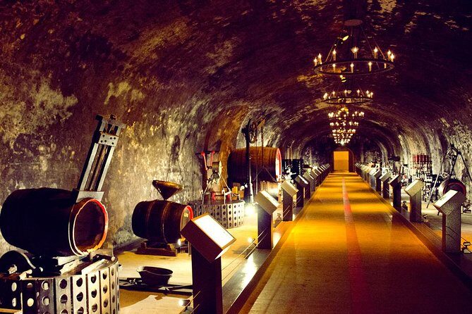 Champagne Tour from Paris by minivan with Reims Cellars & Champagne Tasting - The Price and Its Value