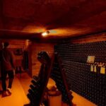 Champagne tour - Private Day trip from Paris - Who Should Consider This Tour?