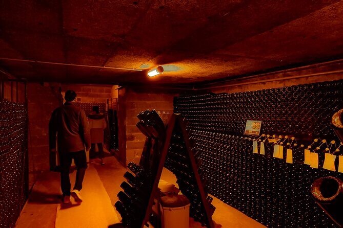 Champagne tour - Private Day trip from Paris - Who Should Consider This Tour?