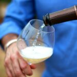 Champagne VIP Day Trip from Paris With Local PRIVATE Wine Expert Guide - An honest look at value and considerations