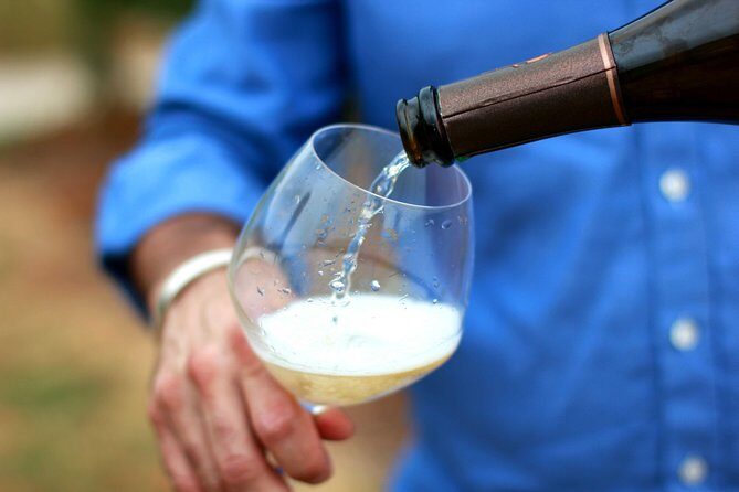 Champagne VIP Day Trip from Paris With Local PRIVATE Wine Expert Guide - An honest look at value and considerations