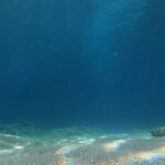 Chania Guided Snorkeling and Boat Excursion - The Experience: What Travelers Are Saying