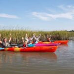 Charleston: Folly Beach Afternoon Kayak Dolphin Safari - Who Should Consider This Tour?