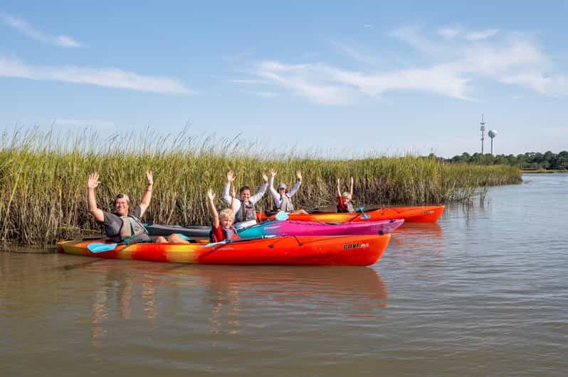Charleston: Folly Beach Afternoon Kayak Dolphin Safari - Who Should Consider This Tour?