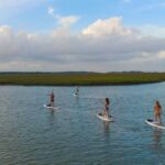 Charleston: Folly Beach Stand Up Paddleboard 2-hour Rental - A Closer Look at the Experience