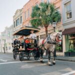 Charleston: Historical Downtown Tour by Horse-drawn Carriage - An In-Depth Look at the Tour Experience