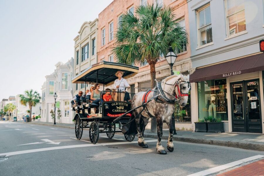 Charleston: Historical Downtown Tour by Horse-drawn Carriage - An In-Depth Look at the Tour Experience