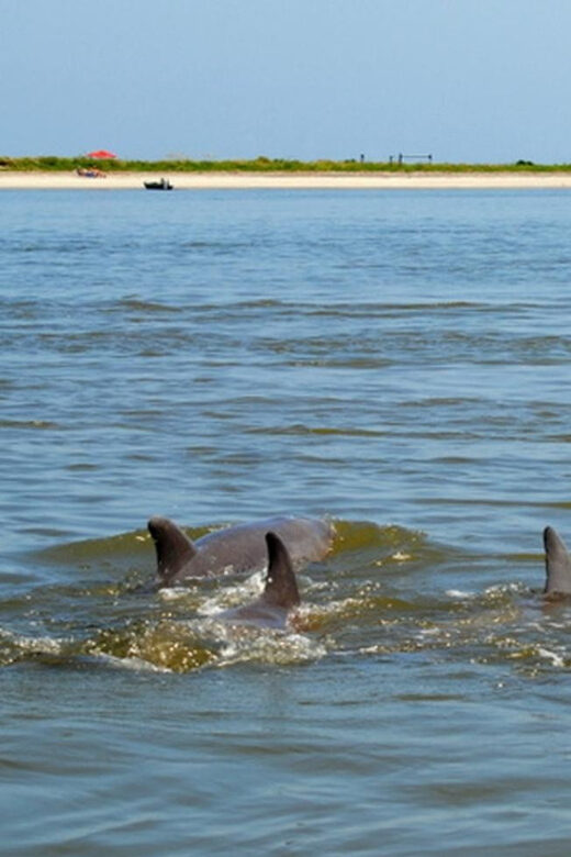 Charleston: Morris Island Lighthouse Eco-Boat Tour - Authenticity and Environmentally Conscious Travel