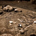 Charleston: Myths and Monsters (Paranormal History Tour) - The Tour Itinerary in Detail