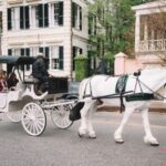 Charleston, SC: Private Daytime Horse-Drawn Carriage Ride - The Itinerary in Detail