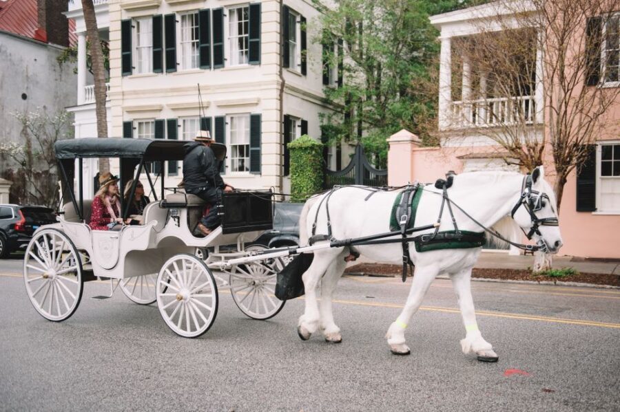 Charleston, SC: Private Daytime Horse-Drawn Carriage Ride - The Itinerary in Detail