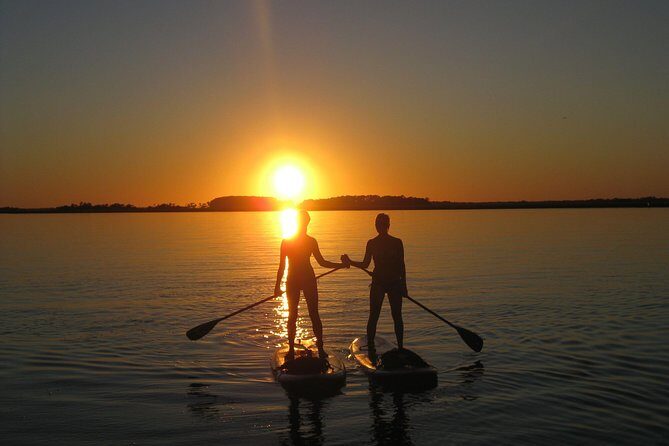 Charleston Stand-Up Paddleboard Eco Tour - Deep Dive into the Itinerary