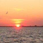 Charleston: Sunset Harbor Cruise - Who Would Benefit Most?