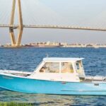 Charleston: Sunset Harbor Cruise for Dolphin Watching - The Sum Up