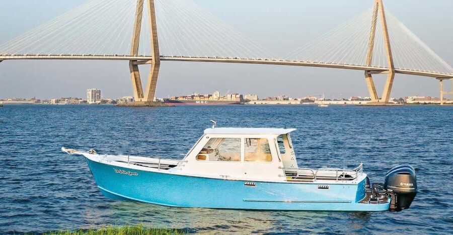 Charleston: Sunset Harbor Cruise for Dolphin Watching - The Sum Up