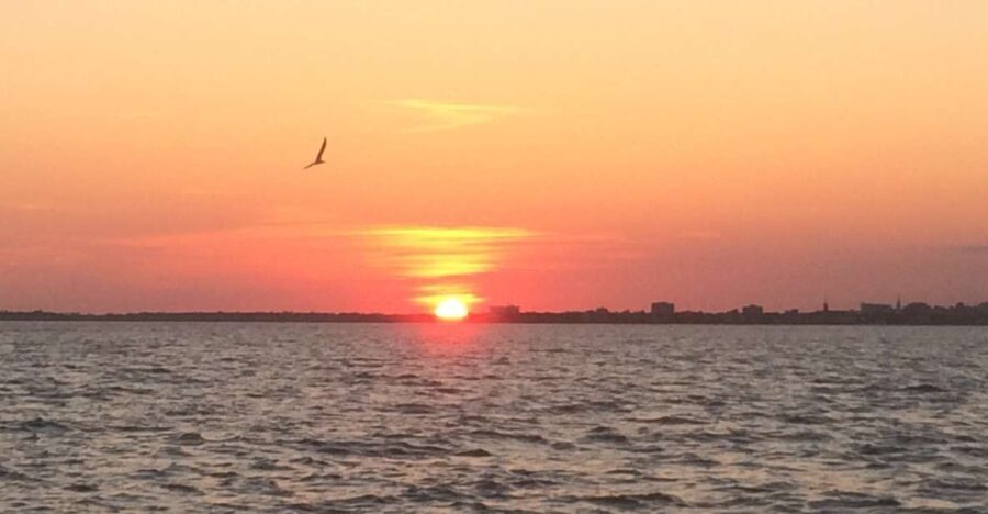Charleston: Sunset Harbor Cruise - Who Would Benefit Most?