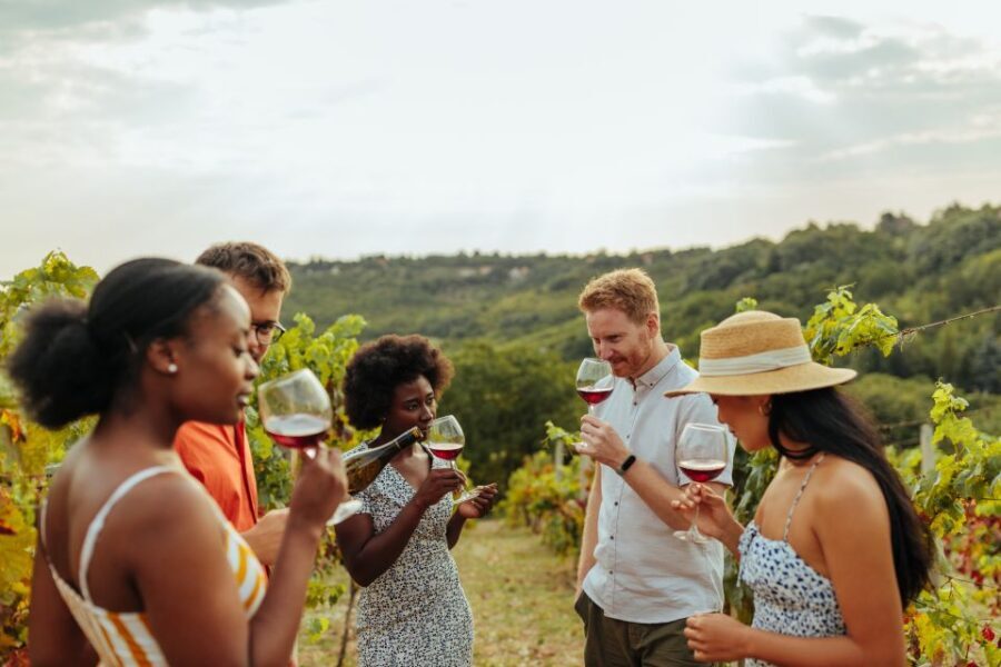 Charleston: Wadmalaw Island Wine Tasting and Tea Garden Trip - What Reviewers Are Saying