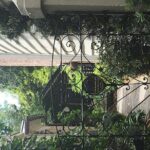 Charleston Walking Tours with Ann - The Value of a Private Tour