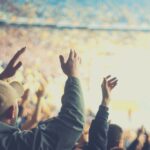 Charlotte: Panthers Football Game at Bank of America Stadium - Detailing the Itinerary and What to Expect