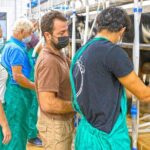 Cheese Making Workshop in Fuerteventura with Breakfast - Why This Tour Works Well