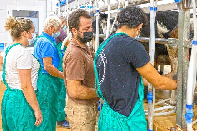Cheese Making Workshop in Fuerteventura with Breakfast - Why This Tour Works Well