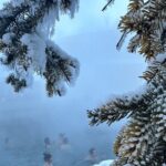 Chena Hot Spring Day Tour - Analyzing the Value and Who Should Consider This Tour