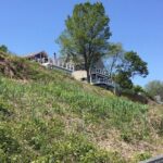 Chesapeake Beach Guided Walking Tour - The Cliffs - What Do the Reviews Say?