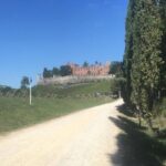 Chianti Classico E-Bike Tour - Who Will Love This Tour?