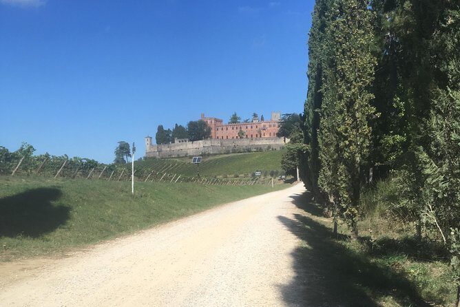 Chianti Classico E-Bike Tour - Who Will Love This Tour?