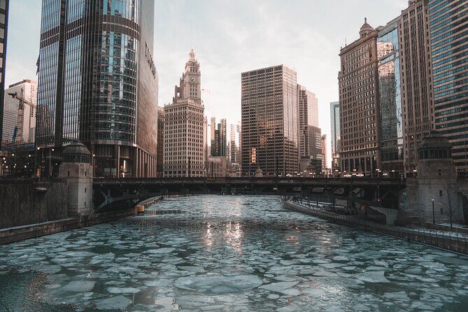 Chicago 4-Hour Private Sightseeing Transfer by Luxury Limousine - The Vehicle and Comfort