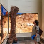 Chicago: Field Museum of Natural History Ticket or VIP Tour - The VIP Experience: Early Access and Guided Insight