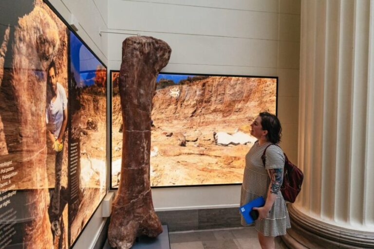 Chicago: Field Museum of Natural History Ticket or VIP Tour - The VIP Experience: Early Access and Guided Insight