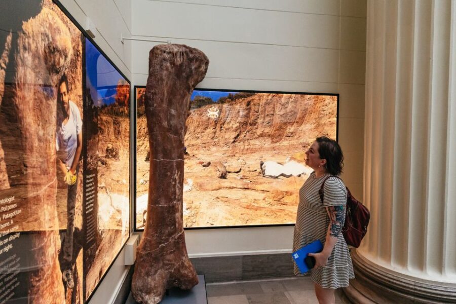Chicago: Field Museum of Natural History Ticket or VIP Tour - The VIP Experience: Early Access and Guided Insight