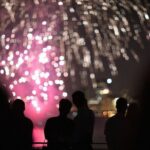 Chicago Fireworks Signature Dinner Cruise on Lake Michigan - Detailed Breakdown of the Experience