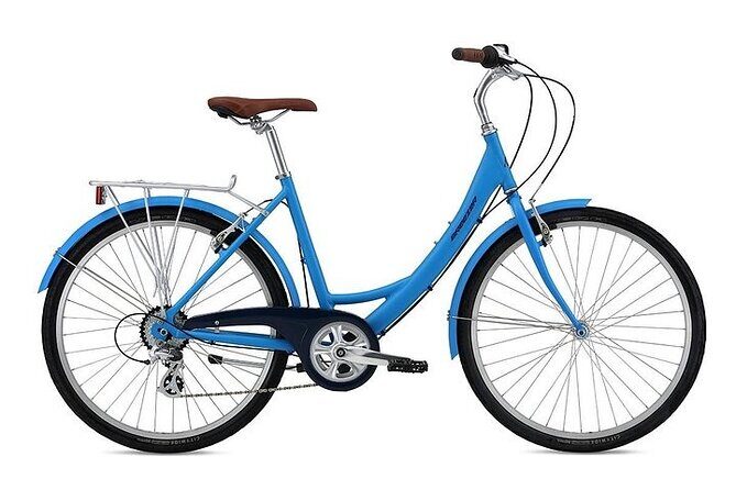 Chicago Half-Day Bike Rental - Exploring Chicago’s Waterfront and Beyond