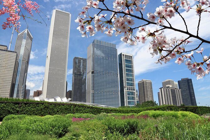 Chicago Millennium Park Self-Guided Walking Tour - A Deep Dive Into the Park with Your Smartphone