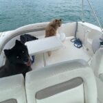 Chicago Private Boat Rental - Explore Chicago's Skyline & Waters - The Itinerary: Breaking Down the Highlights