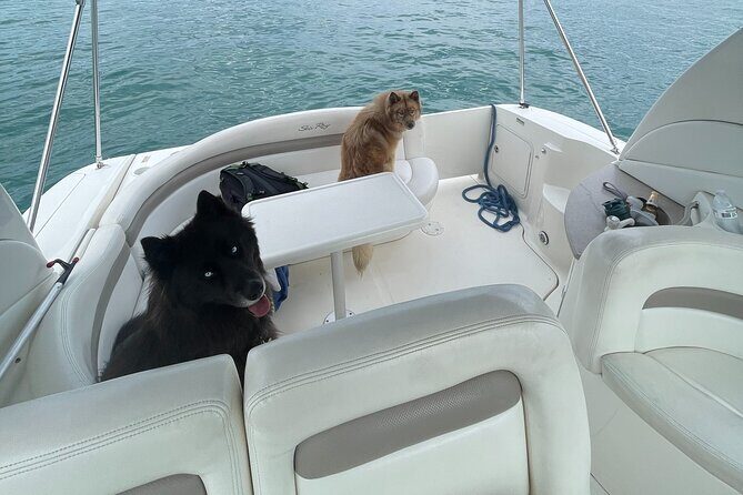 Chicago Private Boat Rental - Explore Chicago's Skyline & Waters - The Itinerary: Breaking Down the Highlights