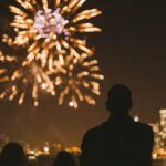 Chicago Seadog Fireworks Cruise - Who Will Find This Tour Most Rewarding?