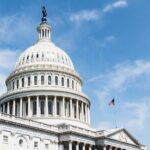 Chicago to Washington D.C. Cherry Blossom 3-Day Tour - Key Points