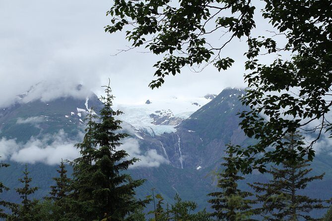 Chilkat Inlet Coastal Hike in Haines - The Experience in Detail