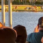 Chincoteague: Assateague Island Sunset Boat Cruise - An In-Depth Look at the Experience