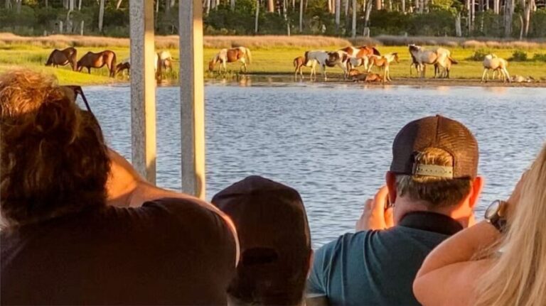 Chincoteague: Assateague Island Sunset Boat Cruise - An In-Depth Look at the Experience
