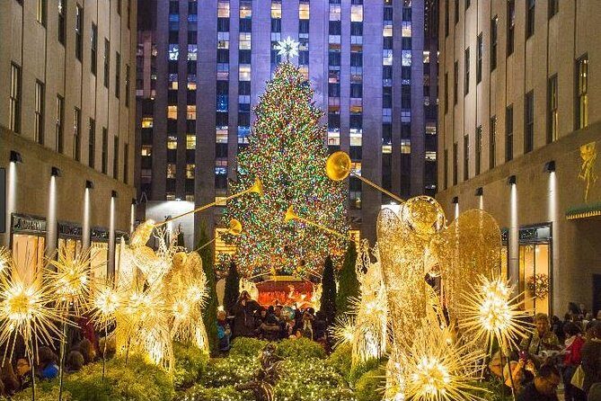 Christmas in New York: Private Holiday History Tour - What It Means for You: The Practical Side