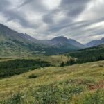 Chugach State Park Nature Walk - What Travelers Say About the Guide and Experience