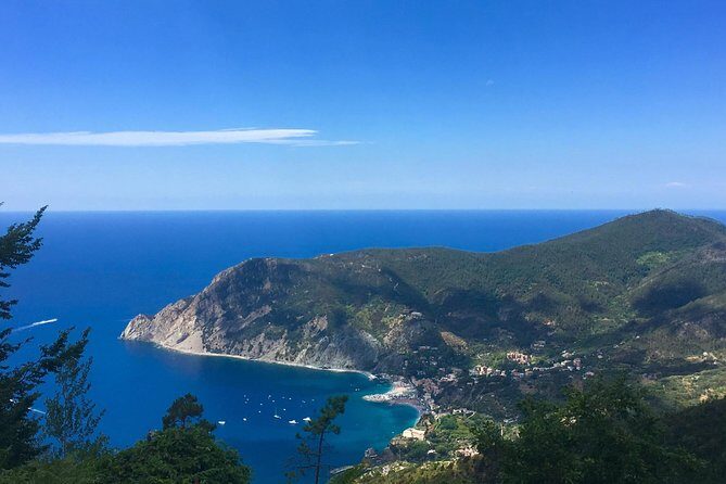 Cinque Terre Private Tour from Livorno - Why This Tour Excels for Different Travelers